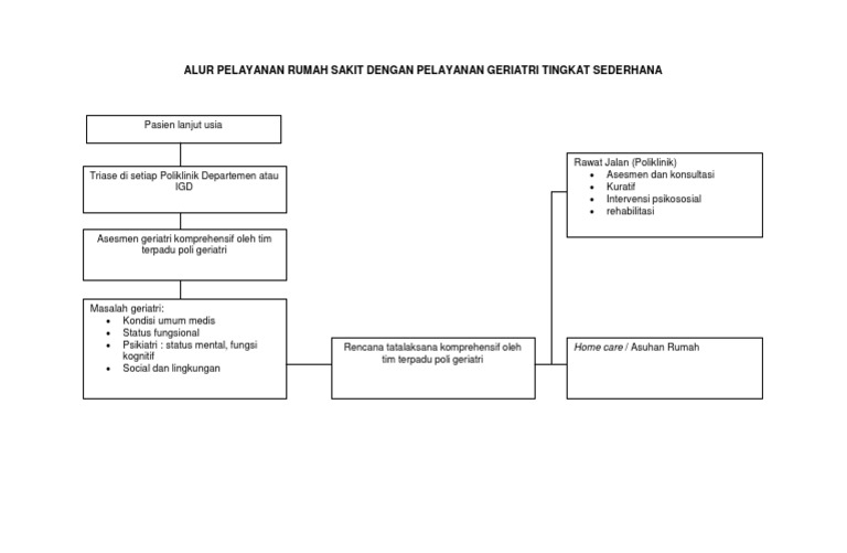 Geriatric Care Pathway in a Hospital with Basic Geriatric Services | PDF