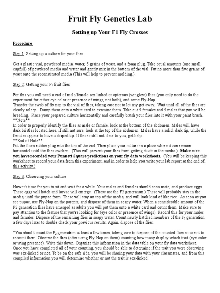 Fruit Flies Lab Activity | Download Free PDF | Fly | Drosophila ...