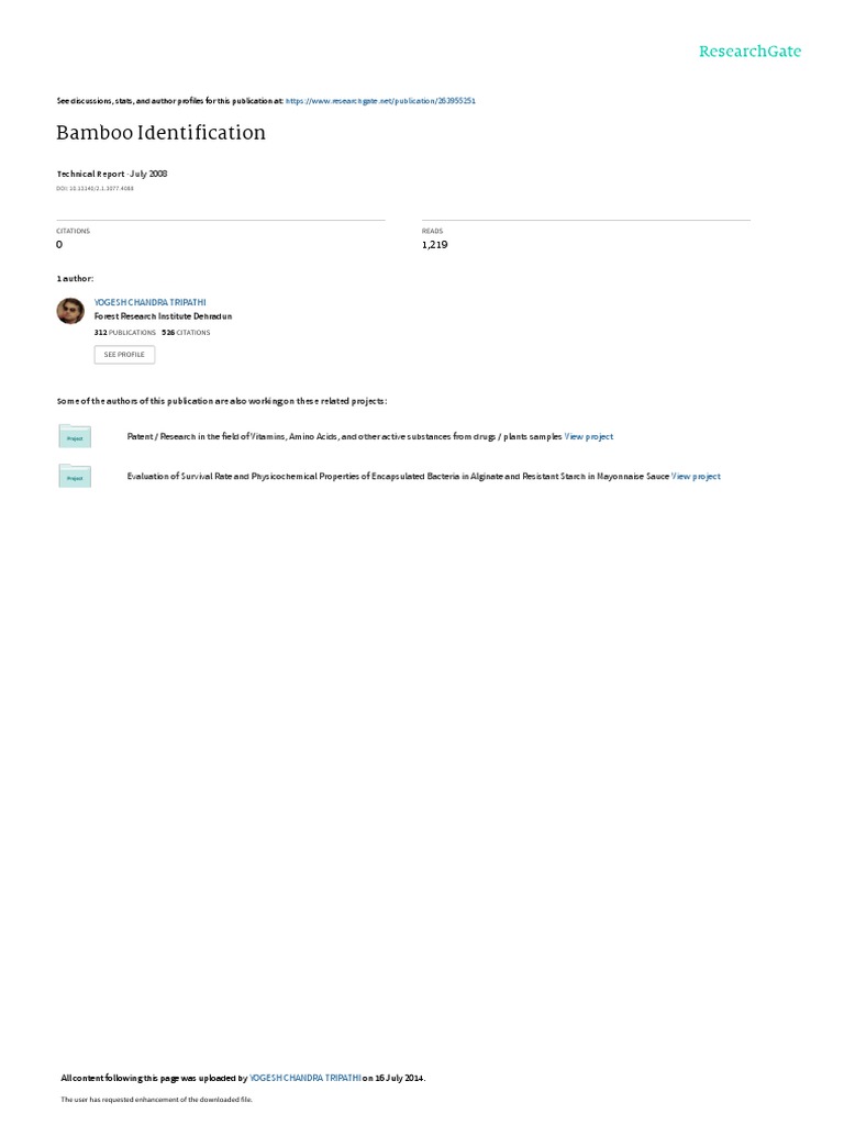 Bamboo Identification | PDF | Leaf | Bamboo