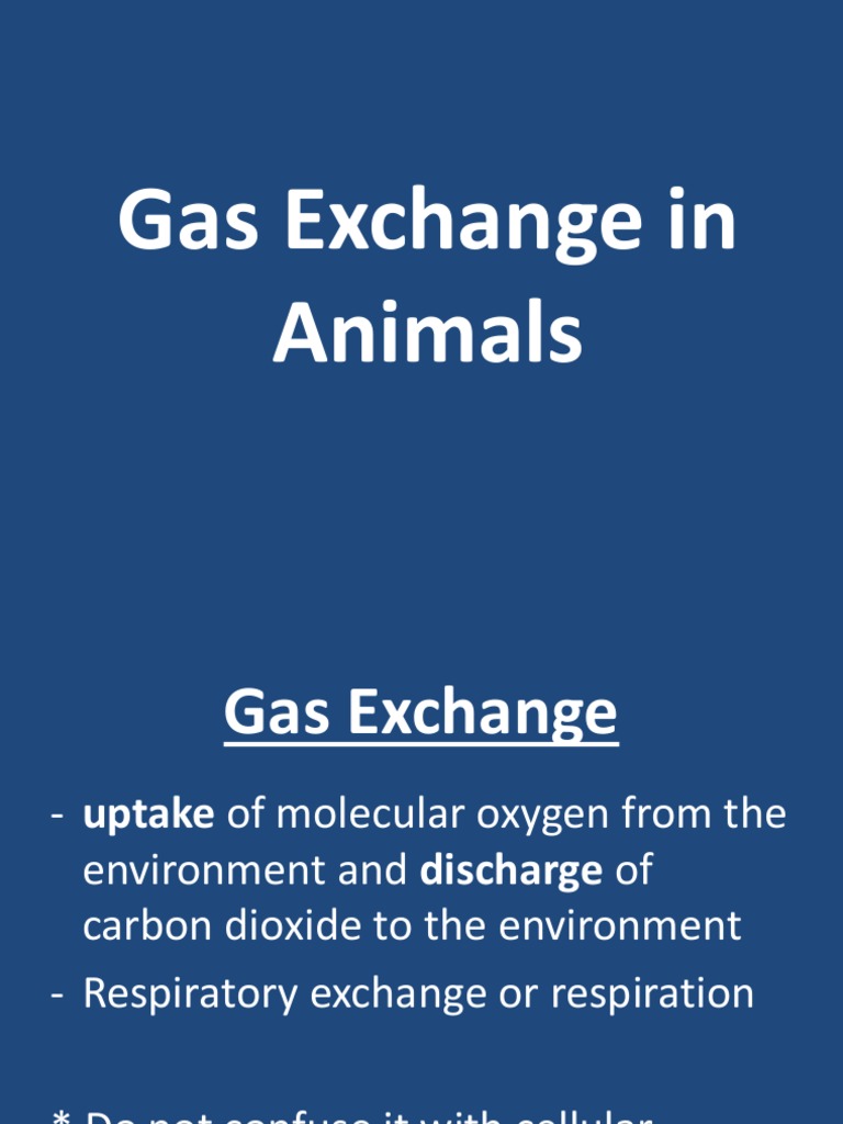 Gas Exchange Mechanisms in Animals | PDF | Lung | Breathing
