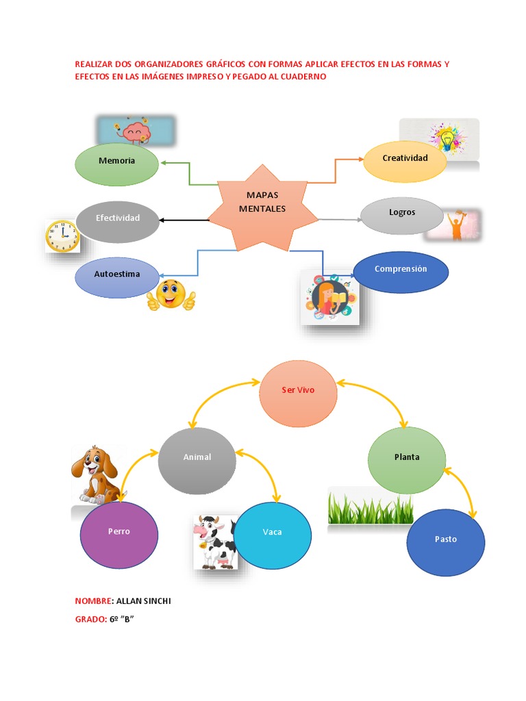Realizar Dos Organizadores Gráficos Con Formas Aplicar Efectos en Las ...