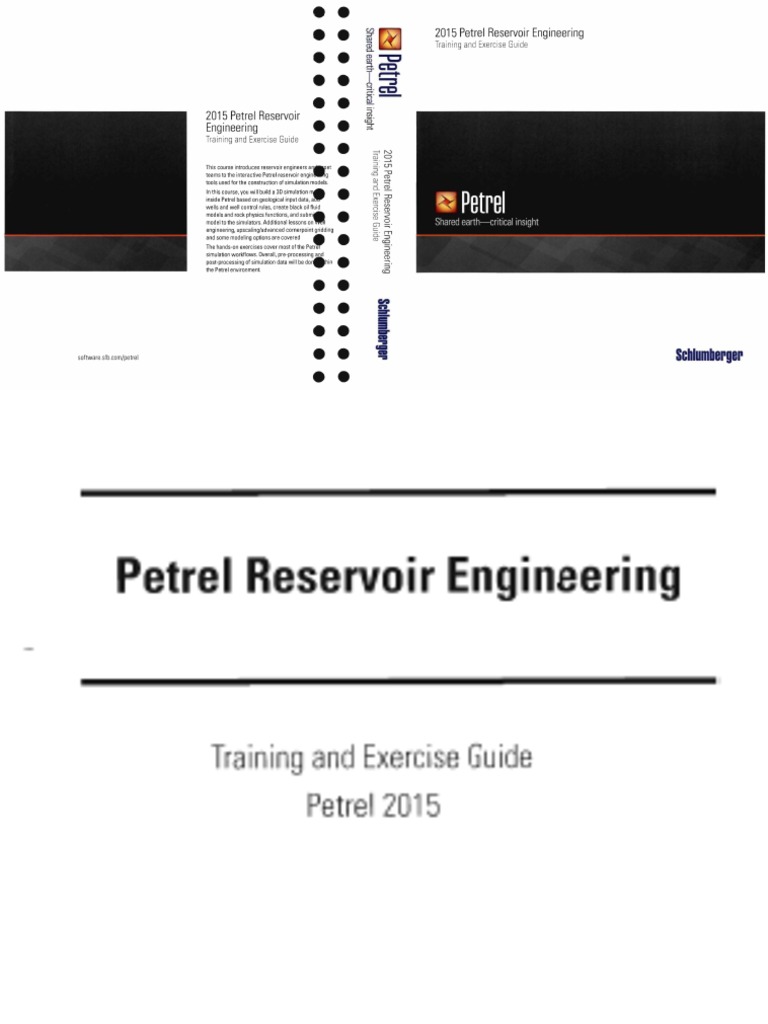 Petrel | PDF | Modeling And Simulation | Scientific Modeling