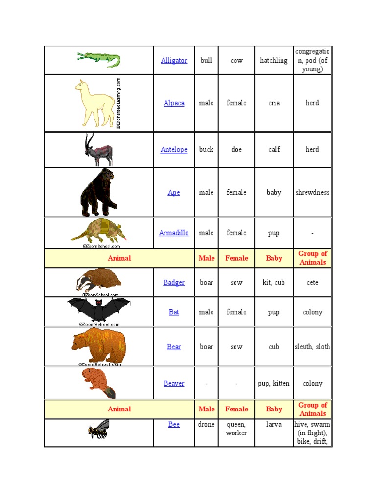 A Comprehensive List of Animal Group Names Organized by Species | PDF ...