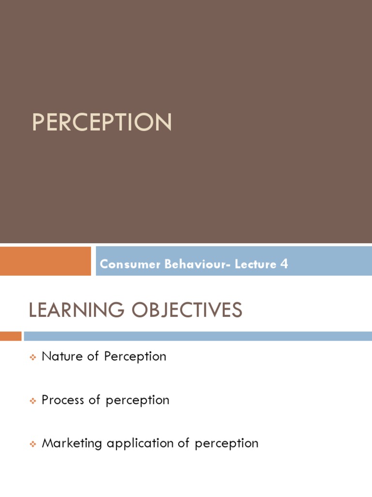 Perception: Consumer Behaviour-Lecture 4 | PDF | Perception | Attention