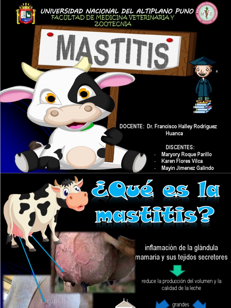 Control y Prevención de Mastitis | PDF | Leche | Vacas