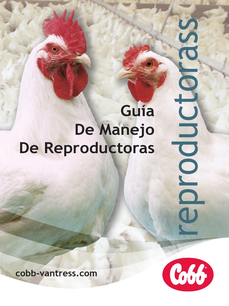 Guía de Manejo Reproductoras Cobb 500 | PDF | Aves | Tejido adiposo