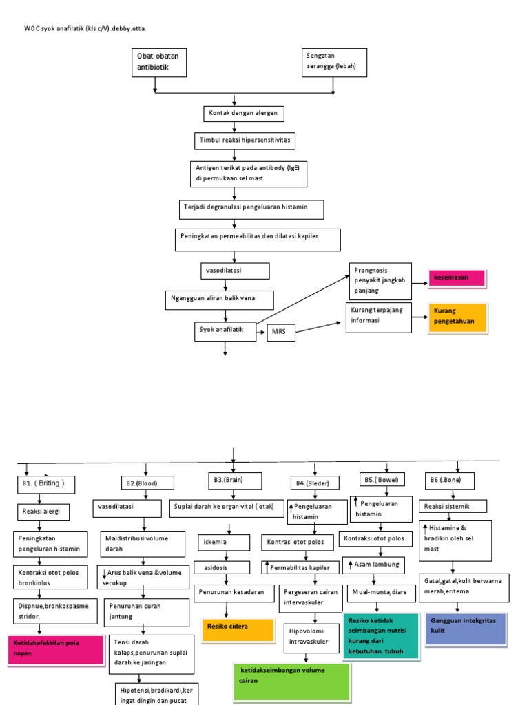 WOC Syok Anafilatik | PDF