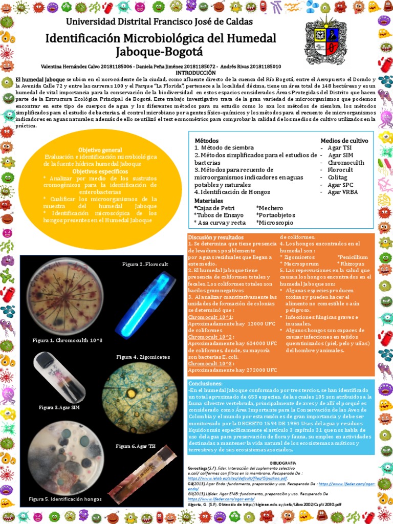 PROCESOS BIOLOGICOS Poster PDF | PDF | Microorganismo | Hongo