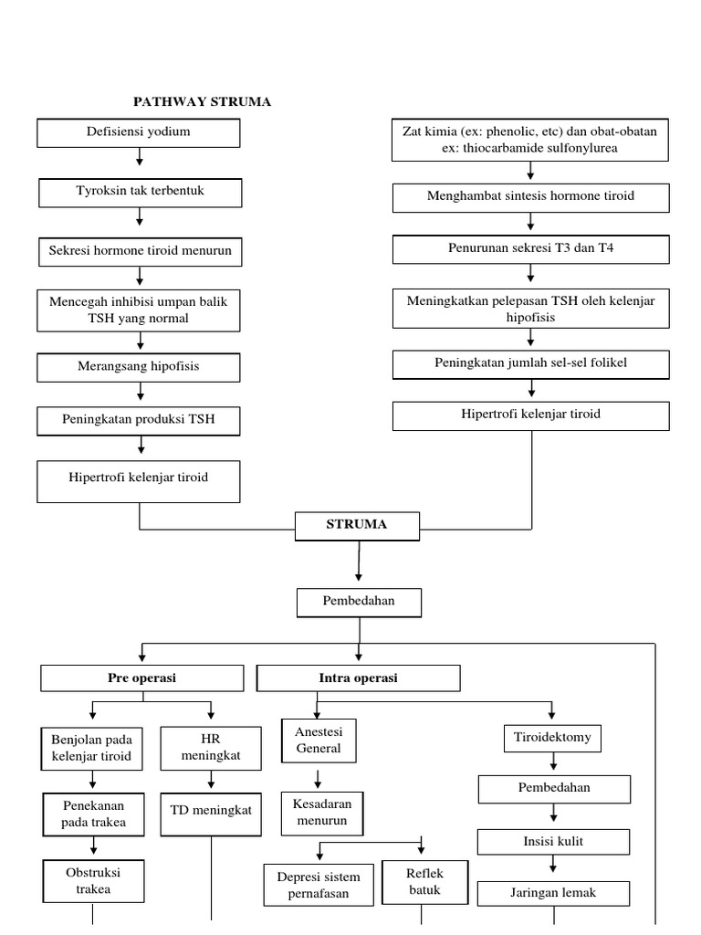 Pathway Struma | PDF