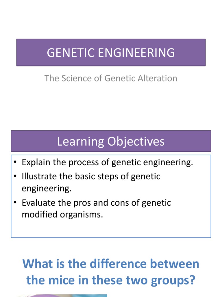 Genetic Engineering | Download Free PDF | Genetic Engineering | Genetics