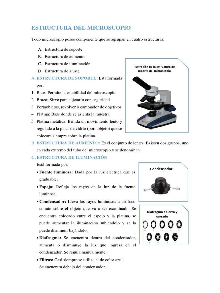 The Anatomy of a Microscope: Exploring the Four Structural Components ...