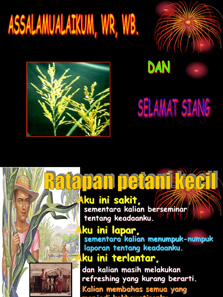 Morfologi Padi | PDF