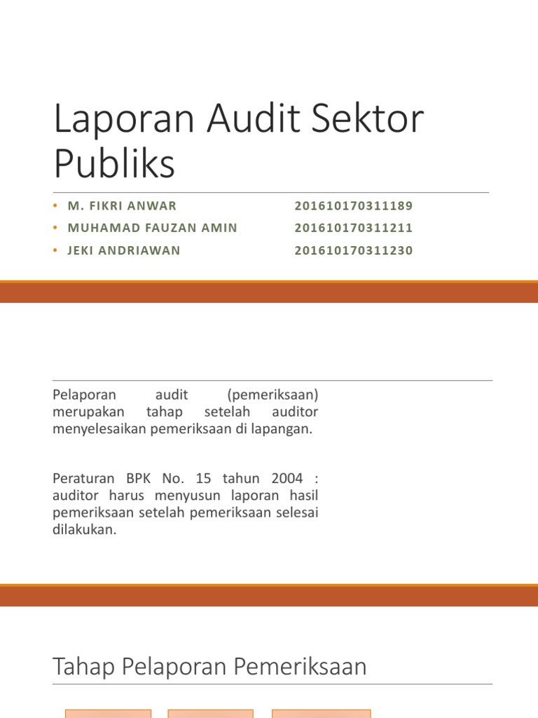 Laporan Audit Sektor Publik | PDF