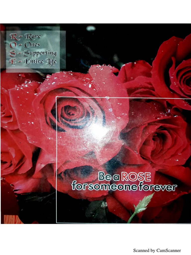 Effective Scanning Tips with CamScanner | PDF