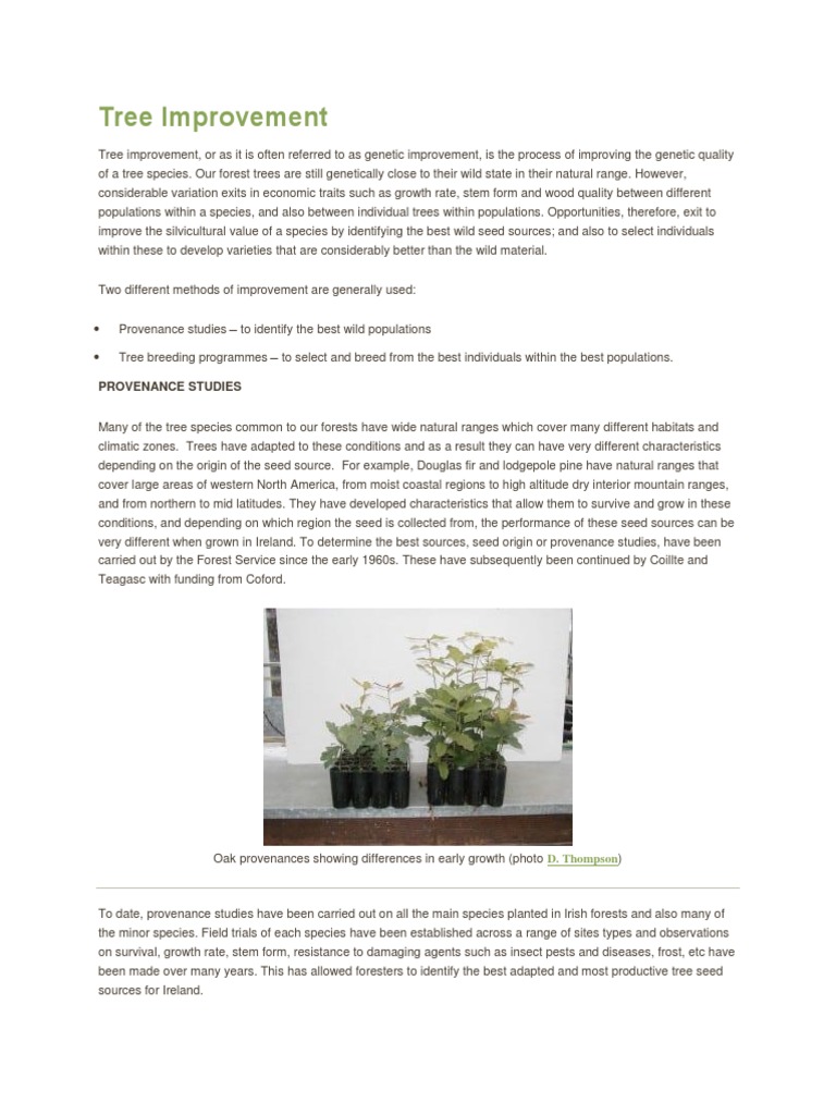 Tree Improvement | PDF | Plant Breeding | Selective Breeding