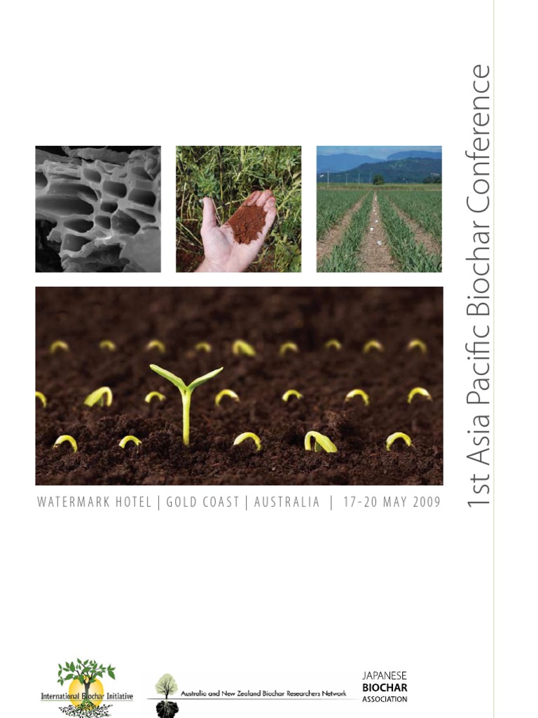 1st Asia Pacific Biochar ConferenceAP BioChar Conference-May09 | PDF ...