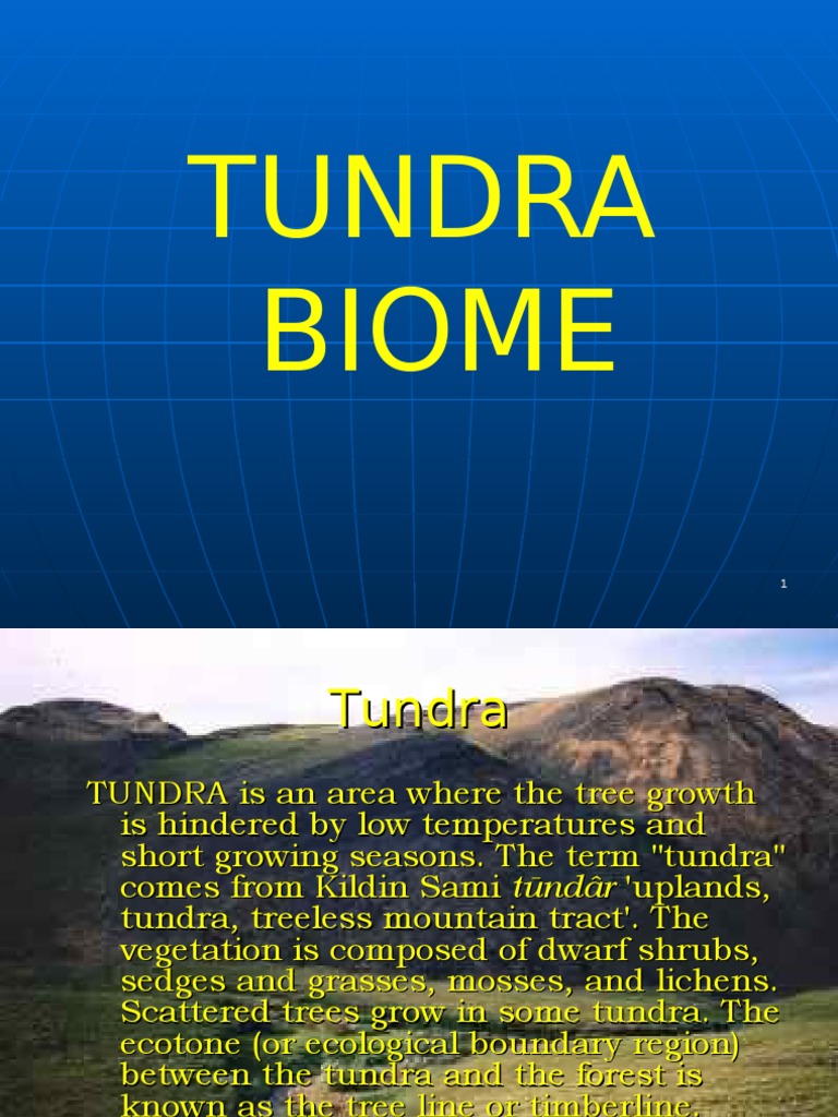 Tundra Biome | PDF | Earth Sciences | Biogeography
