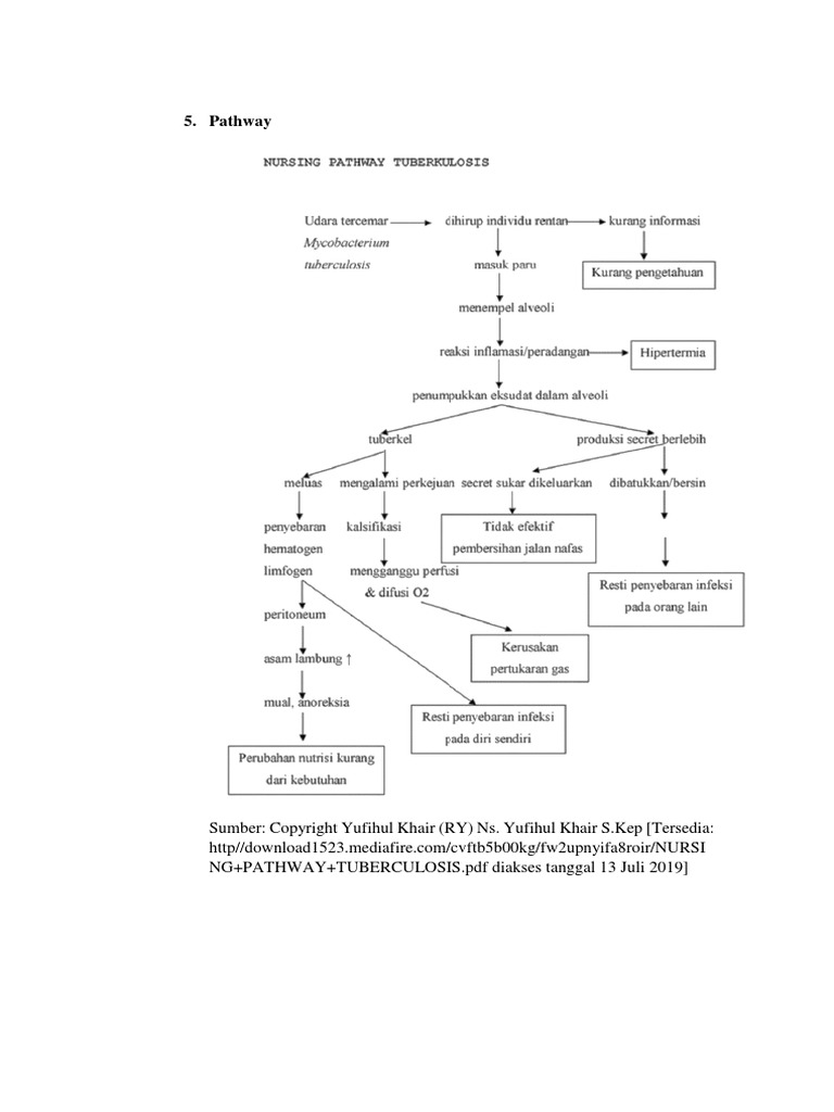 Pathway: NG+PATHWAY+TUBERCULOSIS - PDF Diakses Tanggal 13 Juli 2019 ...