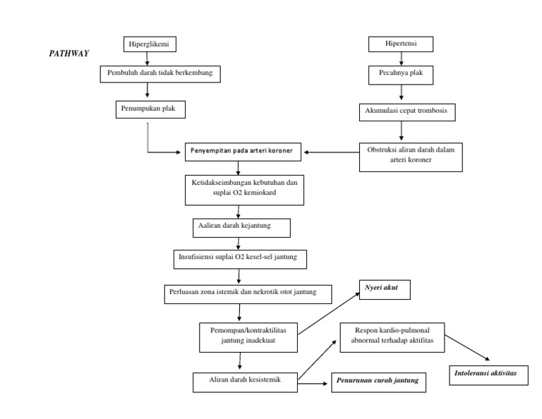 Pathway Stemi Kasus Skemi | PDF