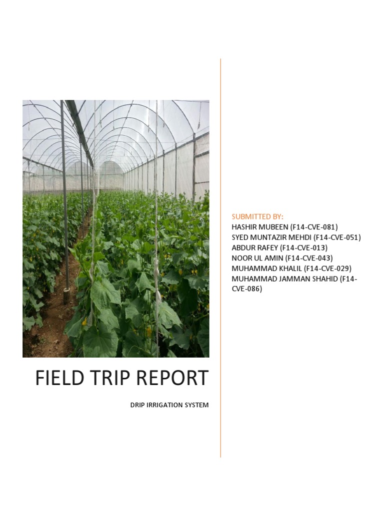 Drip Irrigation Report | PDF | Irrigation | Greenhouse