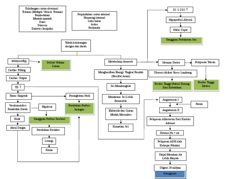 Woc Shock Hemoragik | PDF