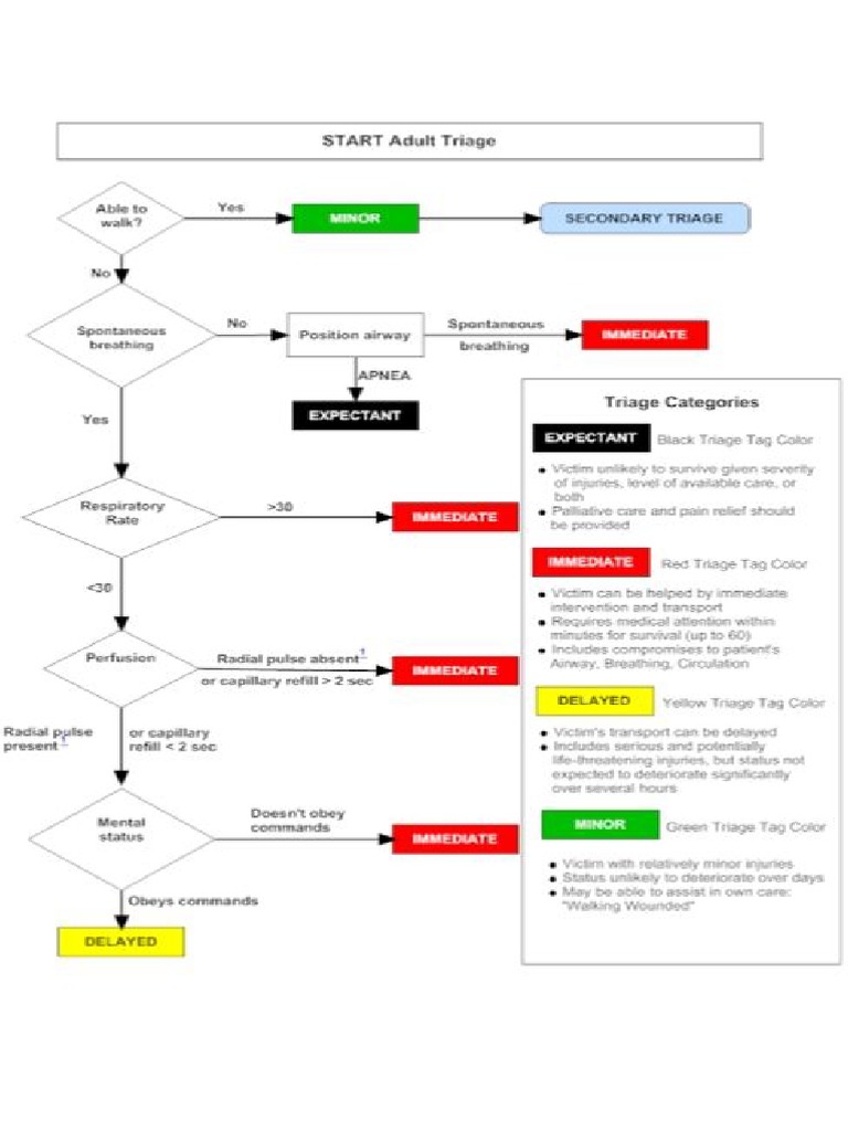 Langkah-Langkah Triage | PDF