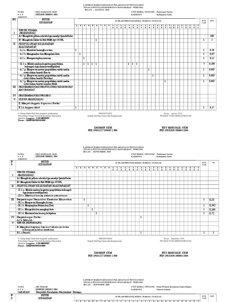 Contoh Laporan Dupak SKM | PDF