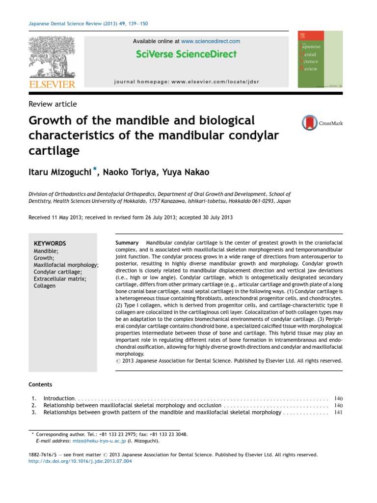 Mandible Growth and Condylar Cartilage | PDF | Cartilage ...