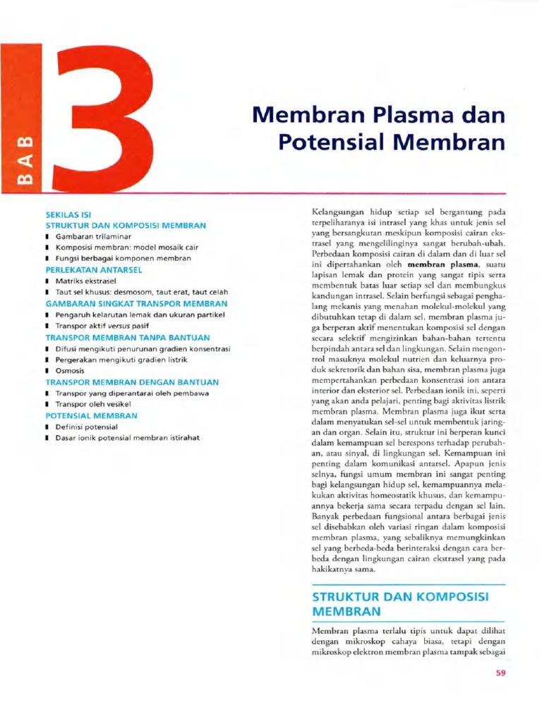 Membran Plasma Dan Potensial Membran | PDF