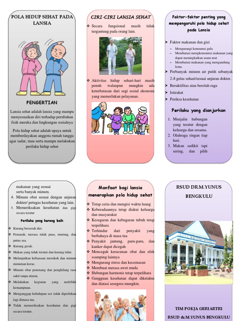Leaflet - Pola Hidup Sehat Pada Lansia | PDF