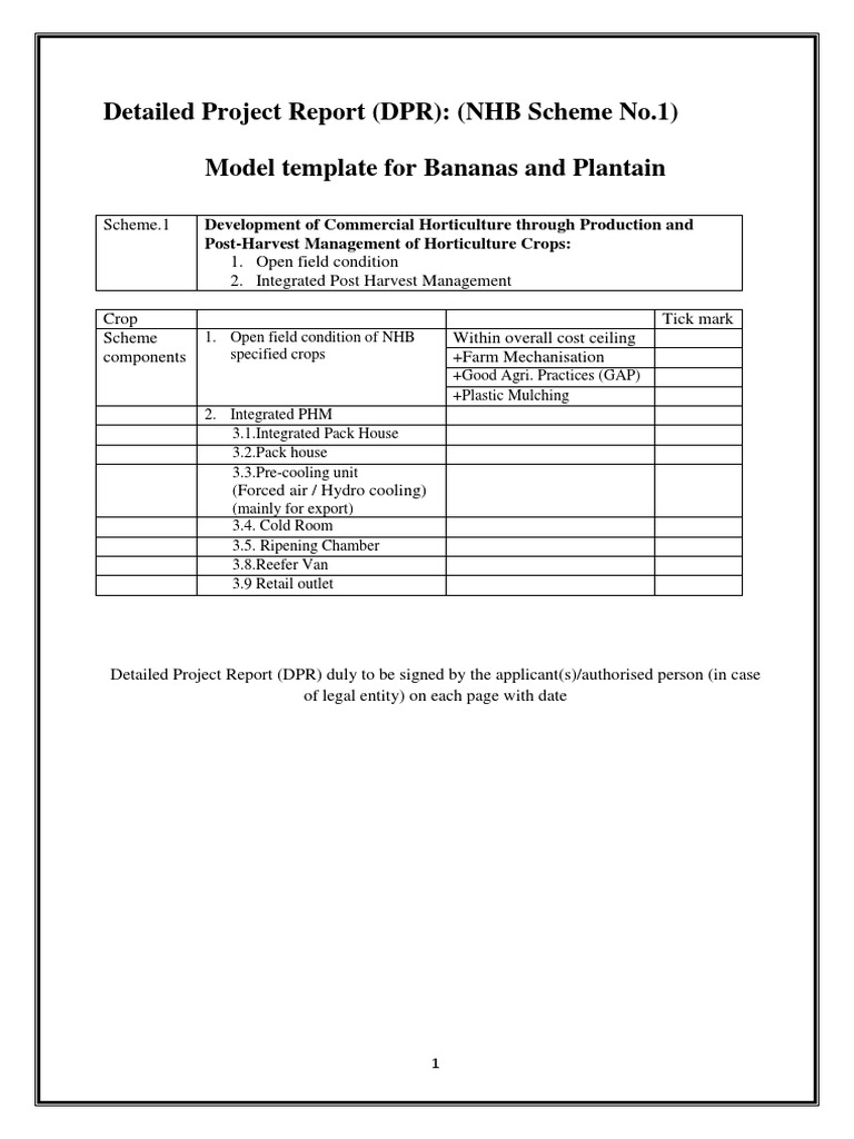 Banana & Plantain DPR: NHB Scheme 1 | PDF | Internal Rate Of Return ...