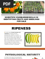 Activity and Rubrics in EPP | PDF | Recycling | Waste