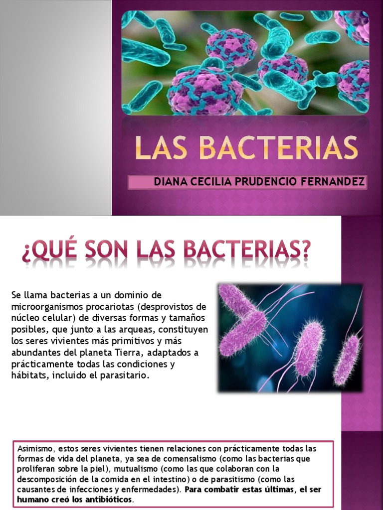 Las Bacterias | PDF | Las bacterias | Biología Celular)