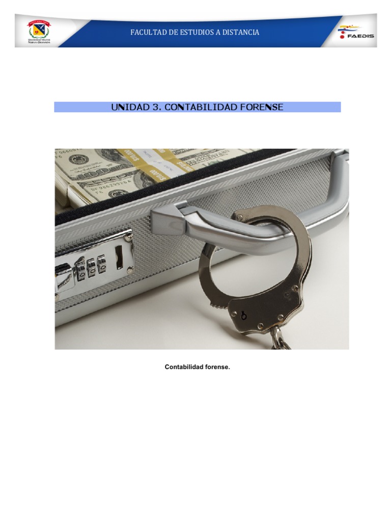 Unidad 3. Contabilidad Forense: Facultad de Estudios A Distancia | PDF ...