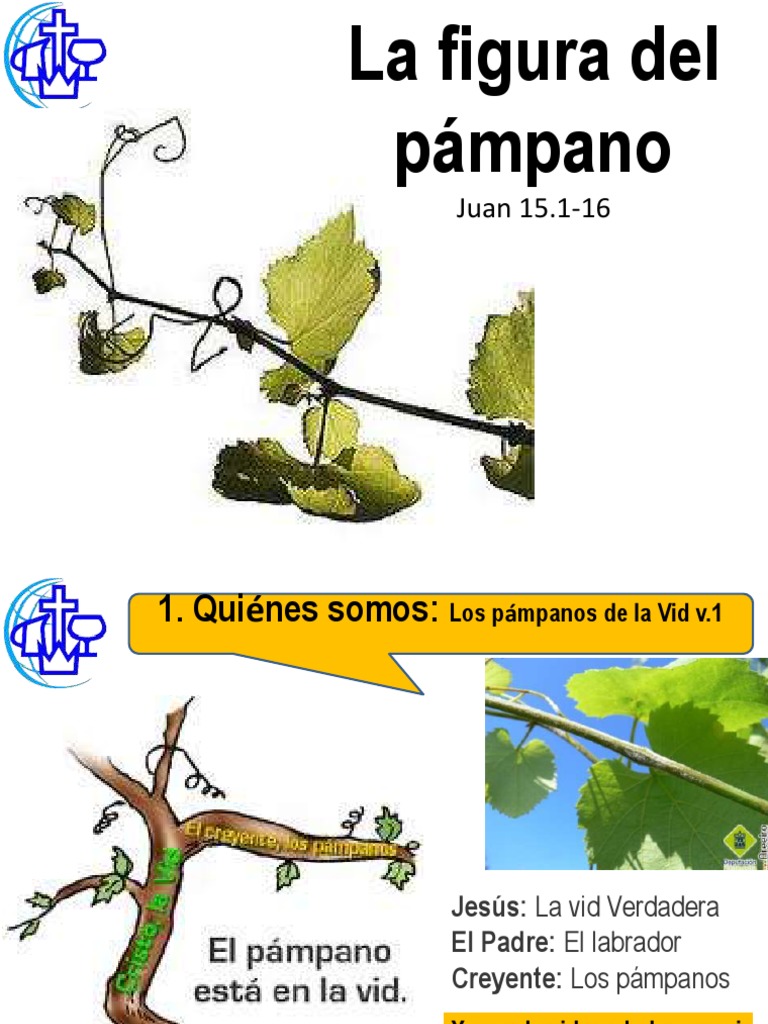 La Figura Del Pampano | PDF | Religión y creencia