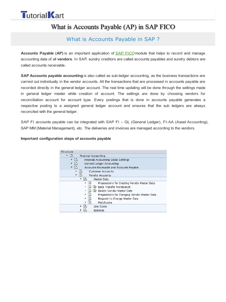 What Is Accounts Payable in Sap Fico | Download Free PDF | Accounts Payable | Payments