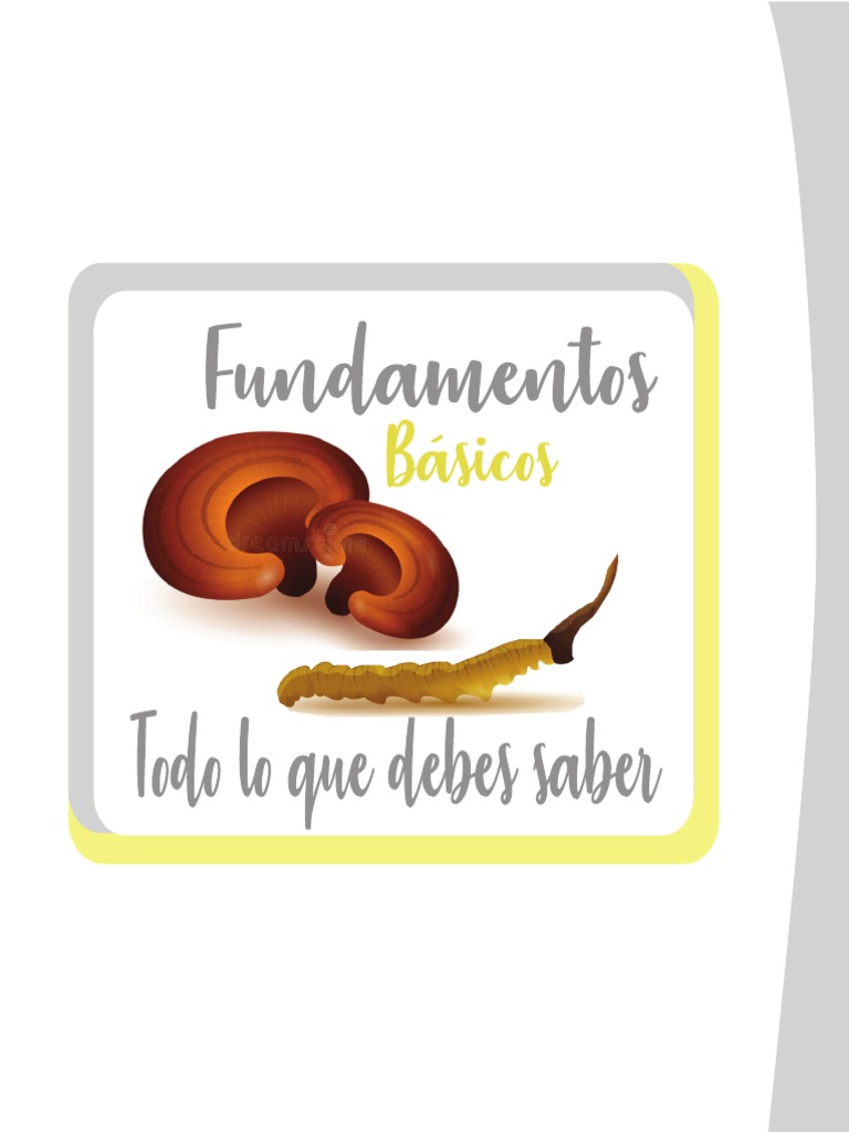 CARTILLA GANODERMA (Como Funciona) PDF | PDF | Negocios | Informática