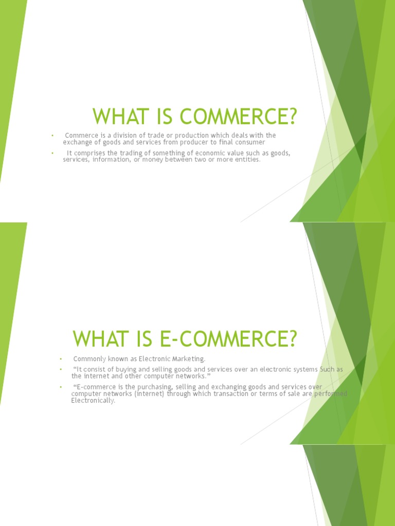E-Commerce Overview and Seminar Insights | PDF | E Commerce ...