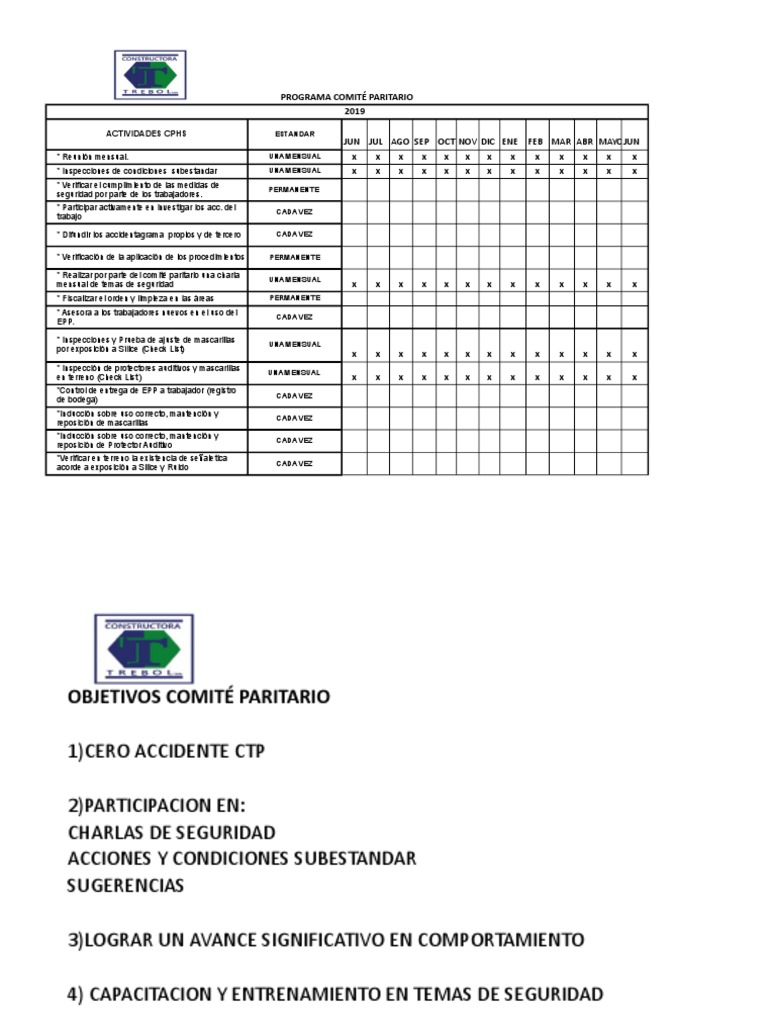 Programa Comite Paritario | PDF