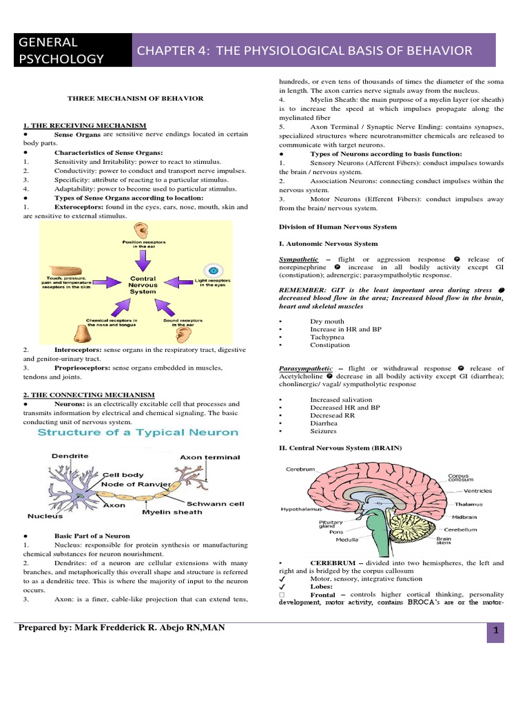 General Psychology 4: THE Physiological Basis OF Behavior: Prepared By ...