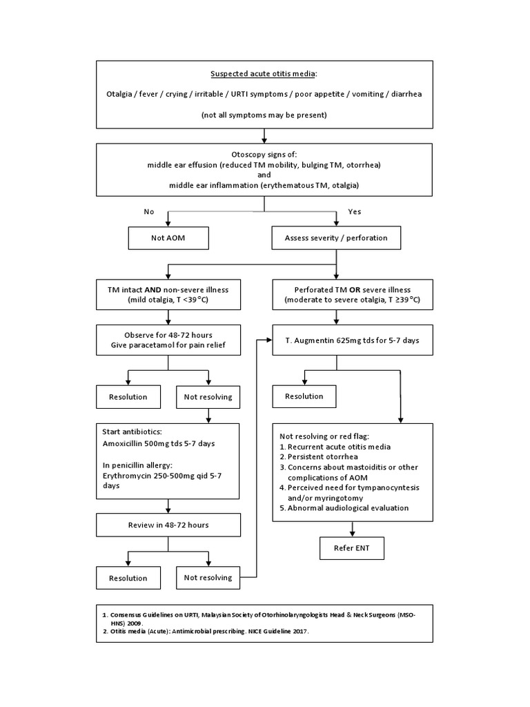 Acute Otitis Media | PDF