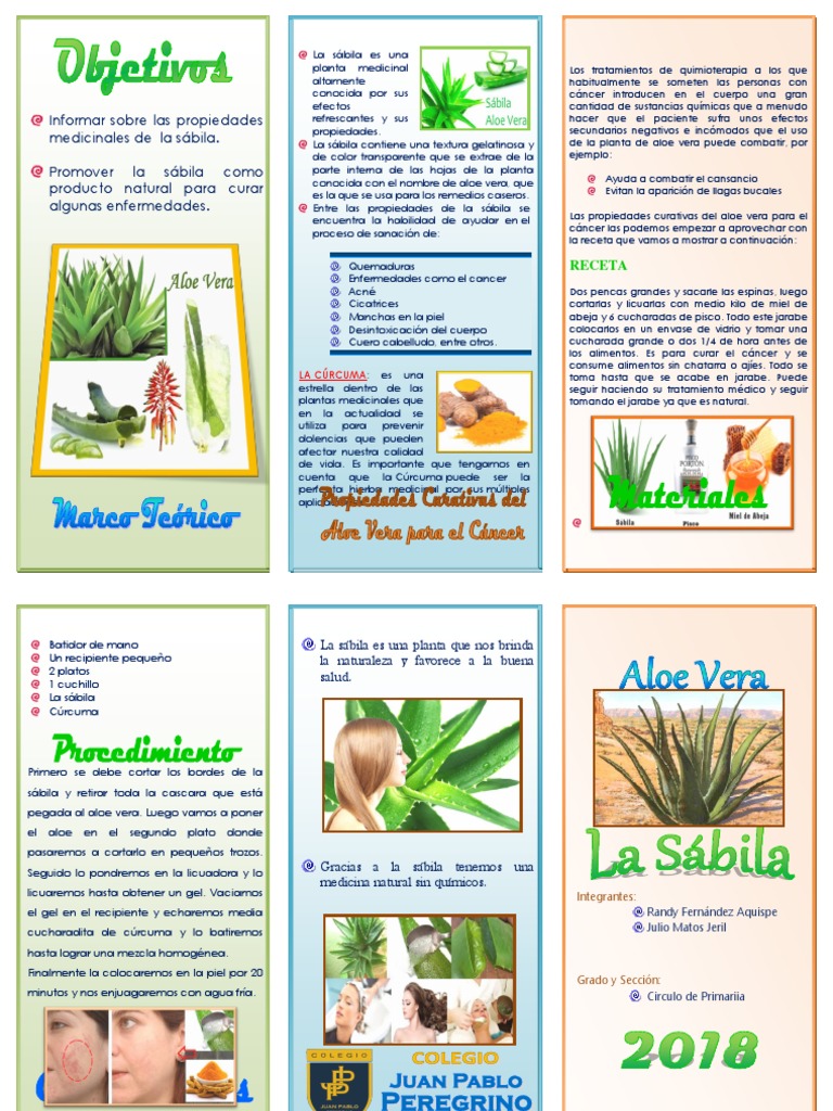 Sabila | PDF | Plantas medicinales | Cáncer