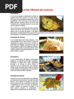 Tríptico Región Costa Ucayali | PDF | Viajes