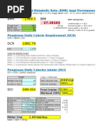 EN UserGuideISAKMetry | PDF | Microsoft Excel | Page Layout