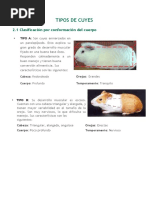 Anatomia y Caracteristicas Del Cuy | PDF | Vértebra | Cráneo