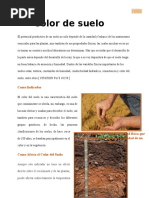 Suelos Humíferos - Características, Tipos y Animales - Lifeder PDF ...