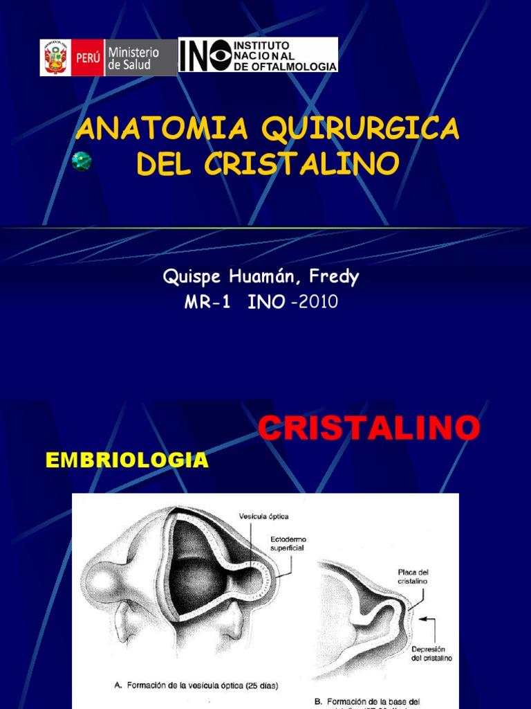 Cristalino | PDF | Ojo humano | Sentidos