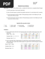 Biochem Experiment (Sakaguchi Test) | PDF