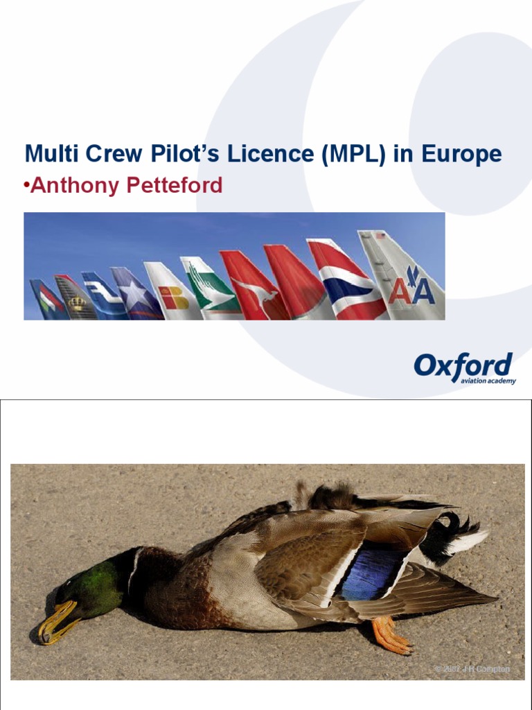 Multi Crew Pilot's Licence (MPL) in Europe: Anthony Petteford | PDF ...