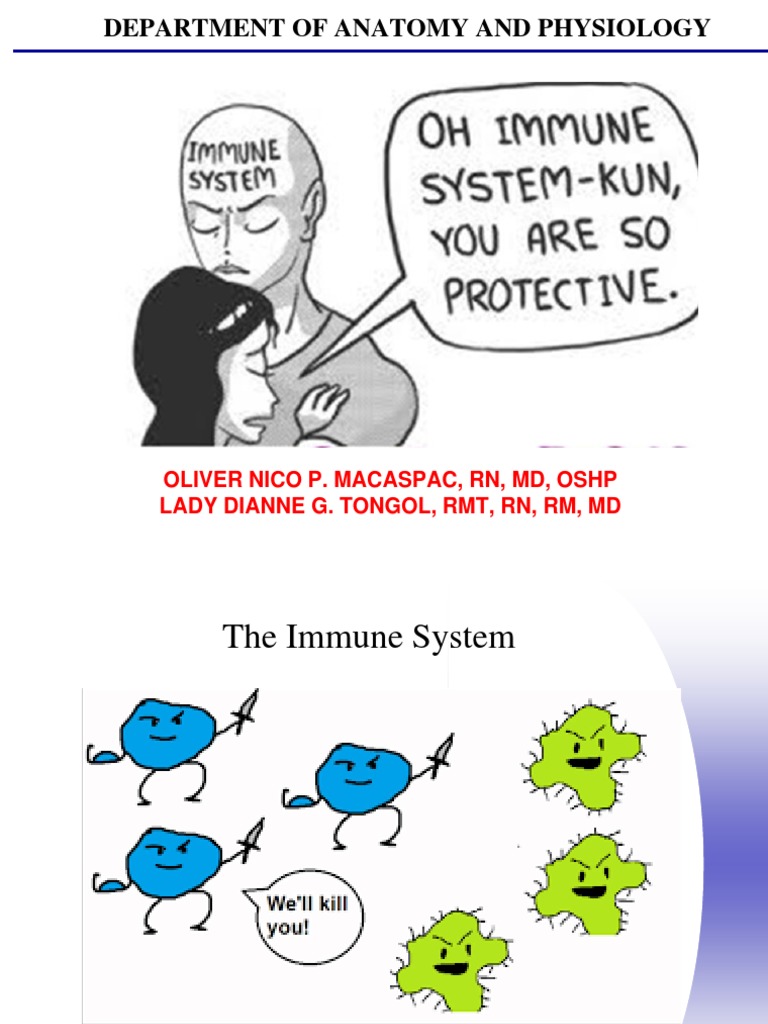 Immune System | PDF | Immune System | Antigen